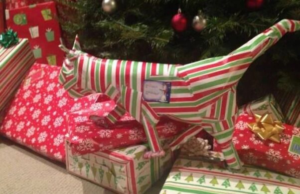 10 Creative Ways to Gift Wrap a Baseball Bat, Batting Tee, or Softball ...